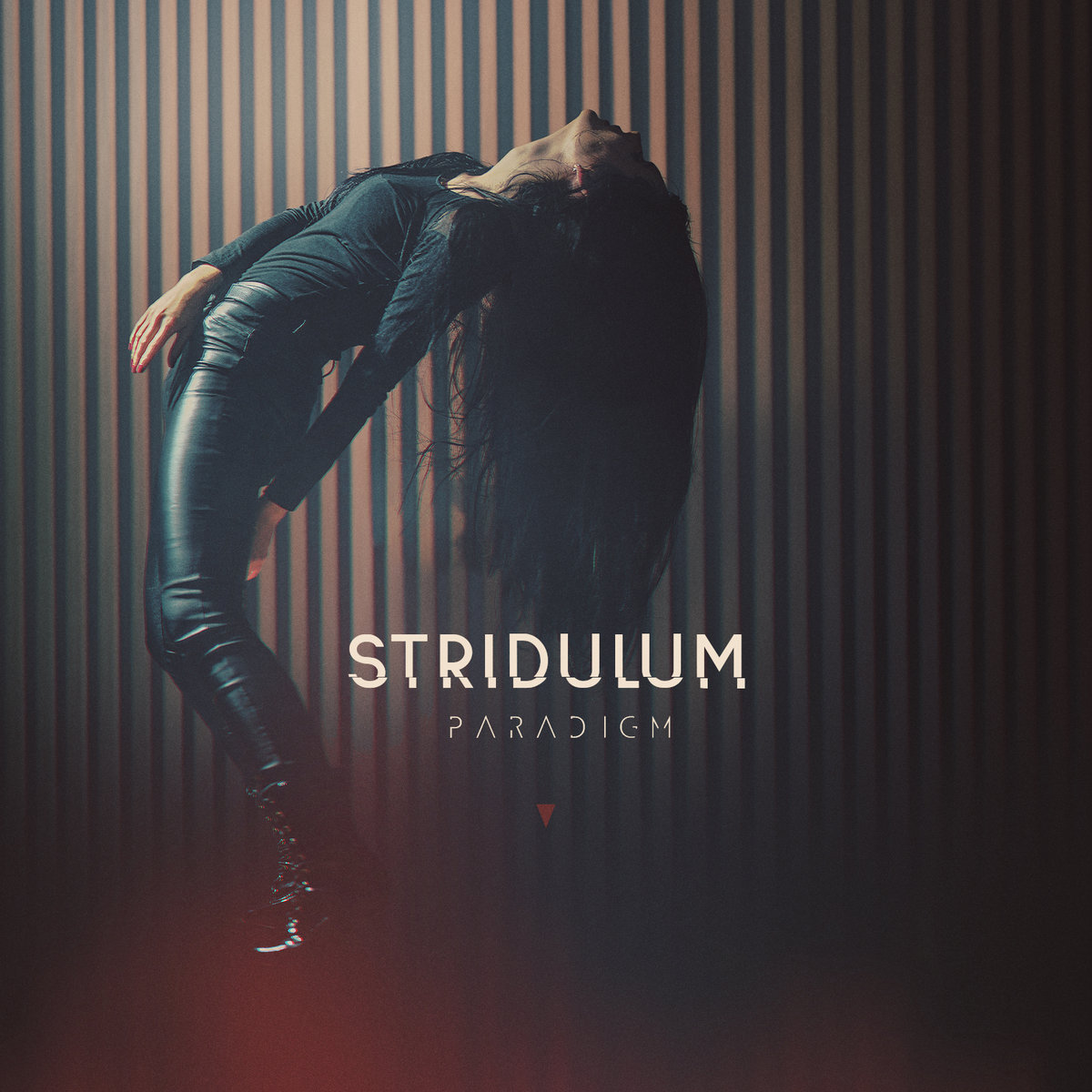 Paradigm by STRIDULUM (Album, Synthpop): Reviews, Ratings, Credits ...