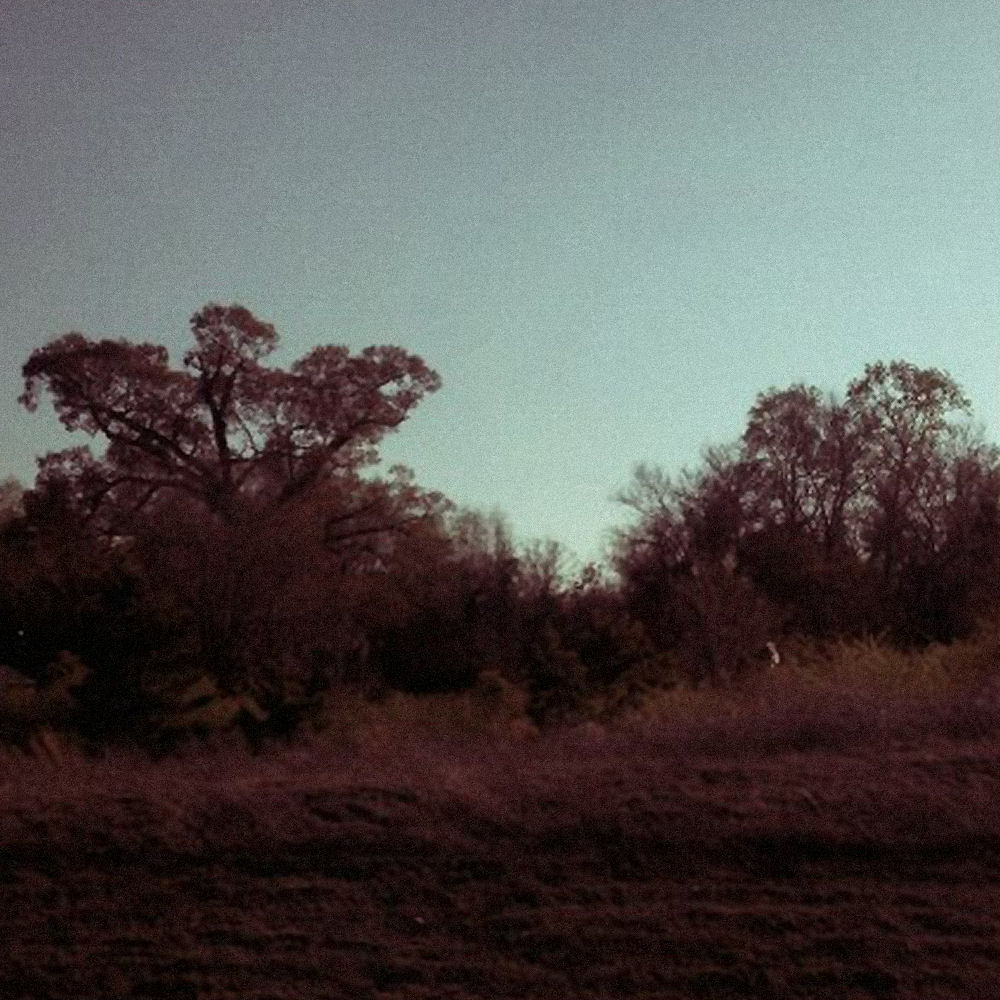 22 / 24 ( Reclamation ) by Coppice Halifax (Album): Reviews, Ratings ...