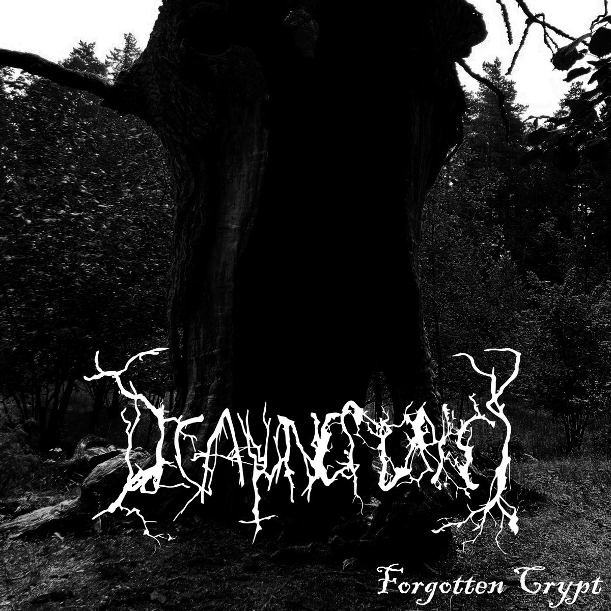 Decaying Forest Albums: songs, discography, biography, and listening ...