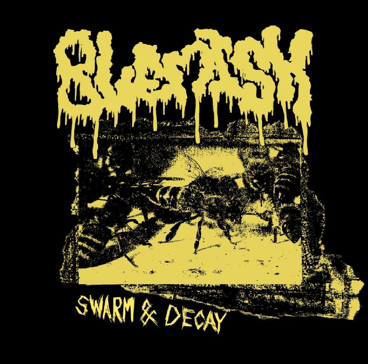 Swarm & Decay by Blemish (EP, Deathgrind): Reviews, Ratings, Credits ...