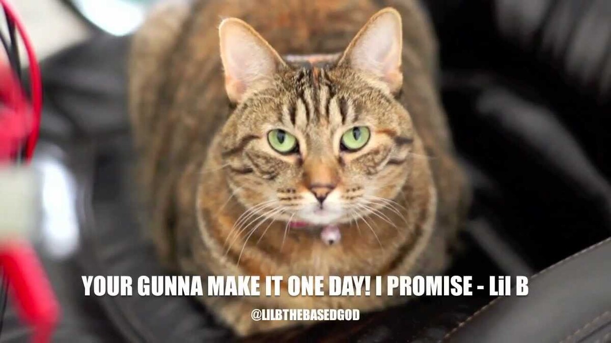 Beat the Odds by Lil B (Music video): Reviews, Ratings, Credits, Song ...