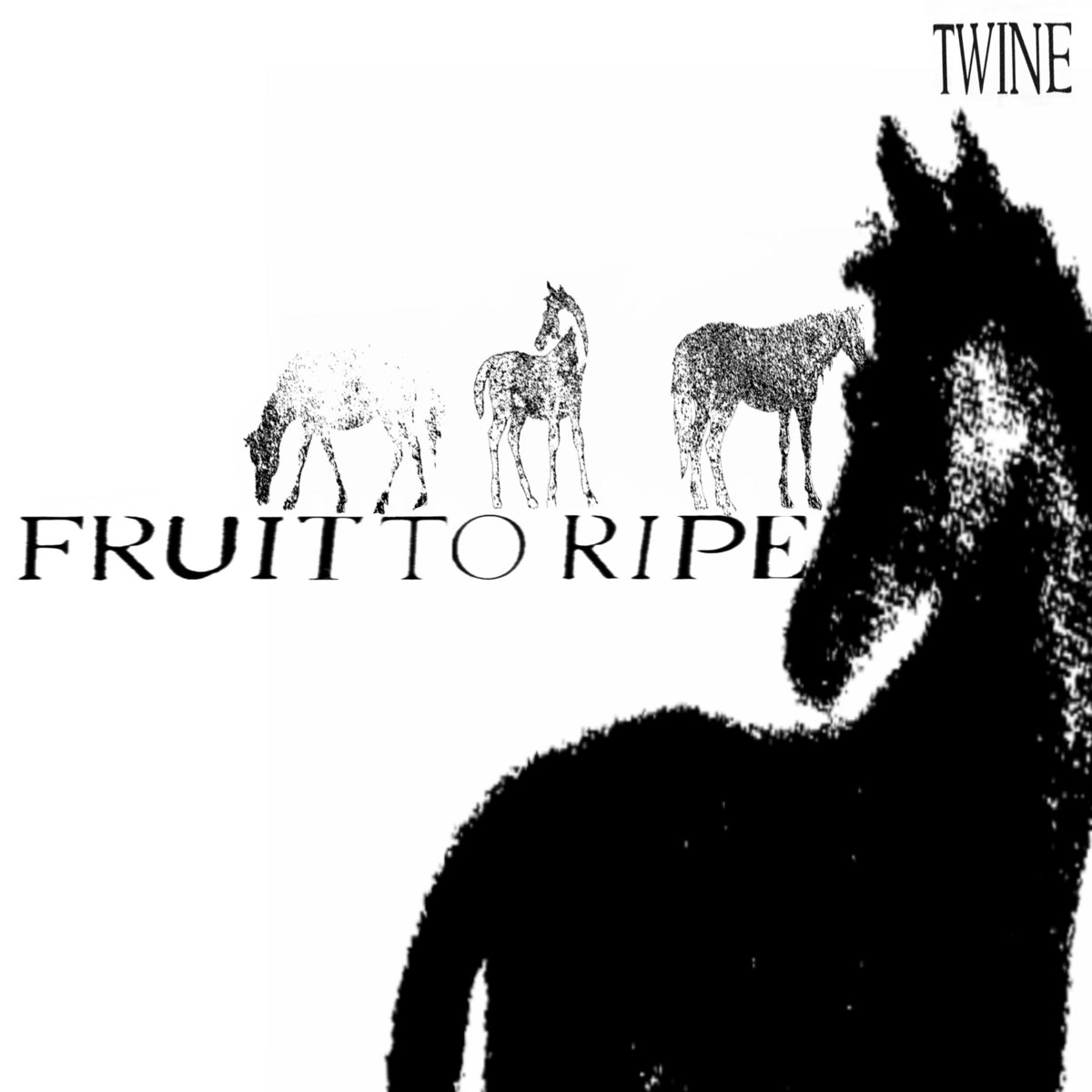 Fruit to Ripe by Twine (Single): Reviews, Ratings, Credits, Song list ...