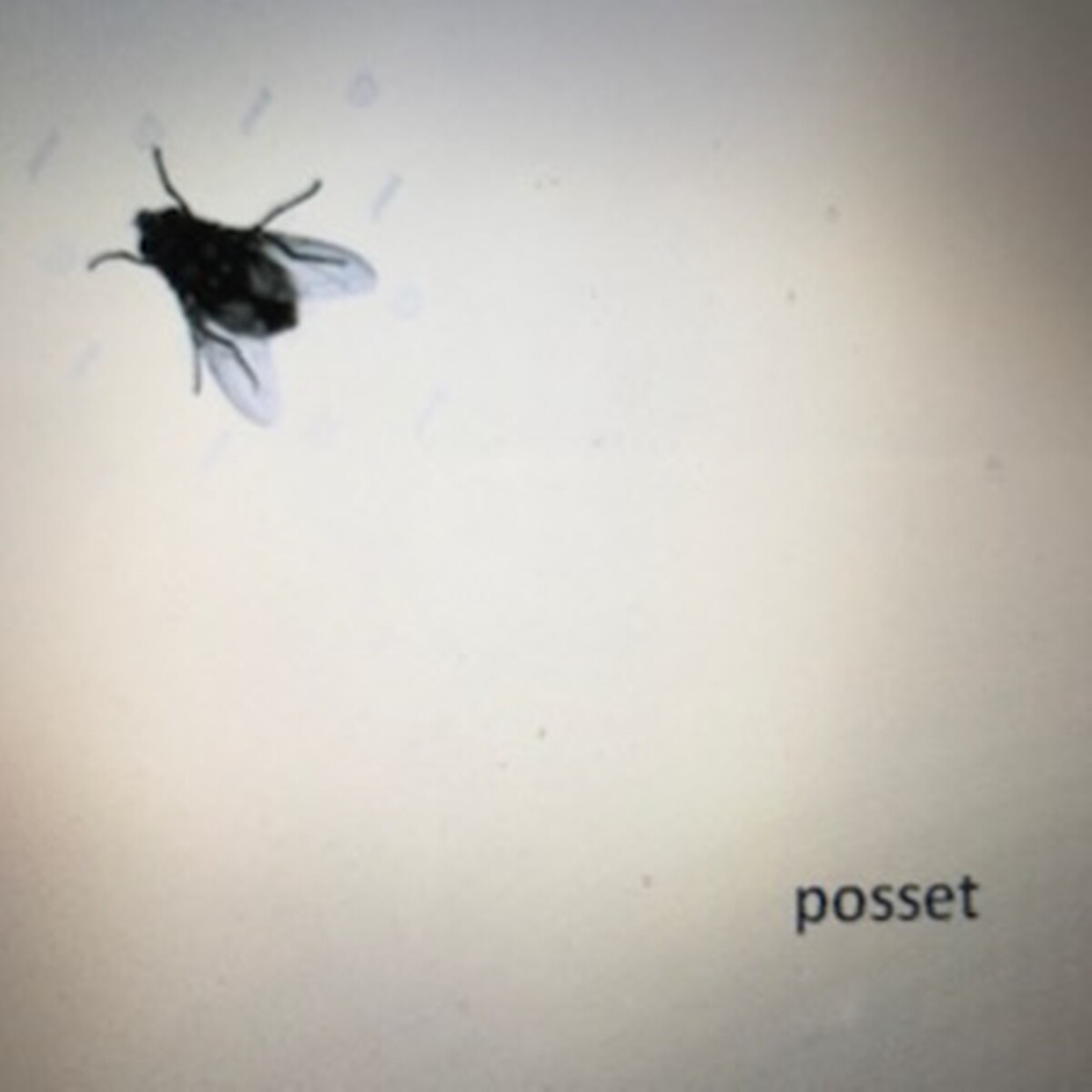 Grindcore My Rave Years by Posset (Album, Tape Music): Reviews, Ratings ...