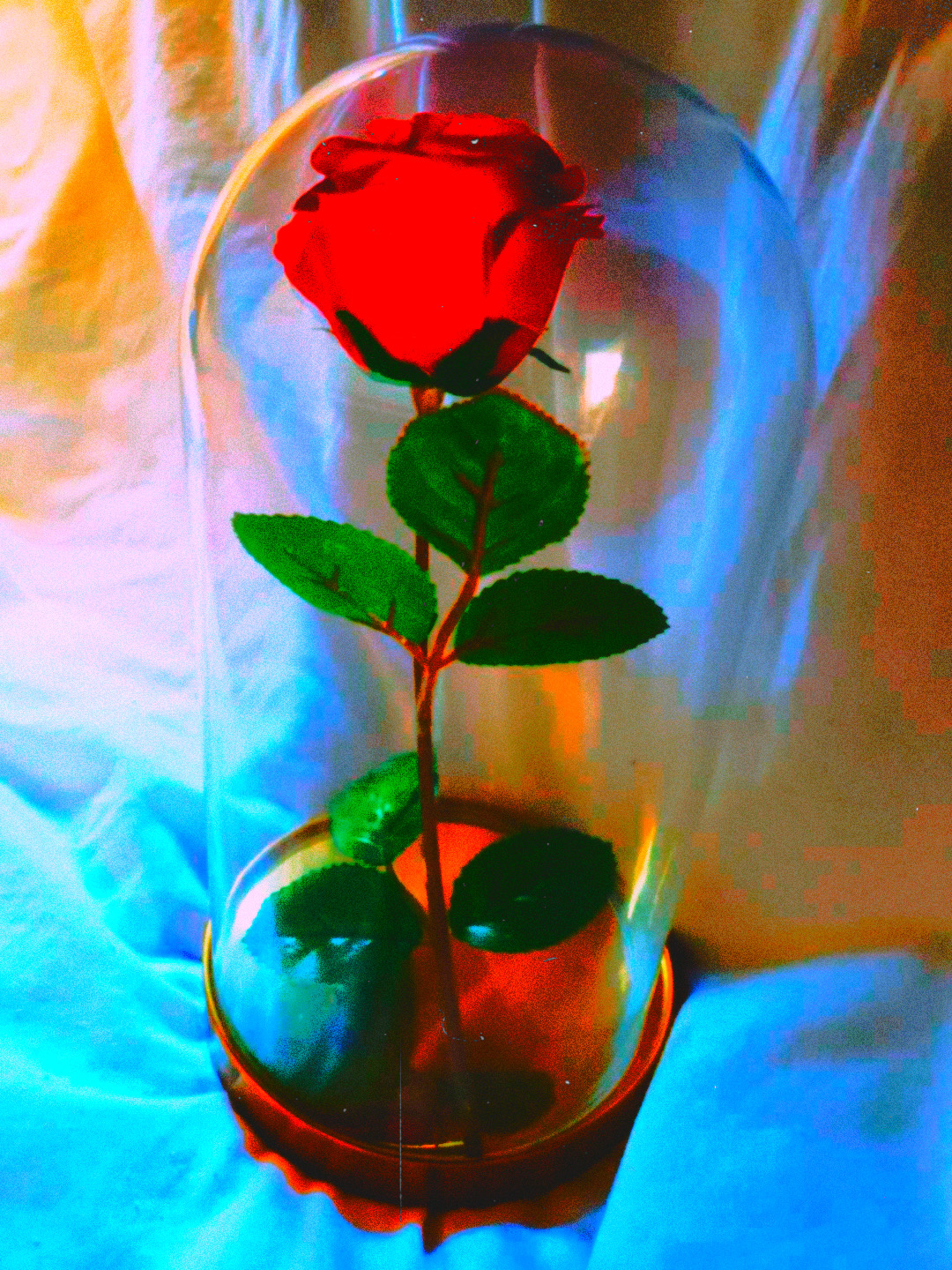 Happy Valentine’s Day Tale by Pariah the Prodigy (EP): Reviews, Ratings ...