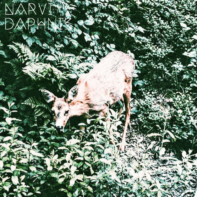Narvi Albums: songs, discography, biography, and listening guide - Rate ...