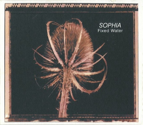 Sophia Albums: songs, discography, biography, and listening guide ...