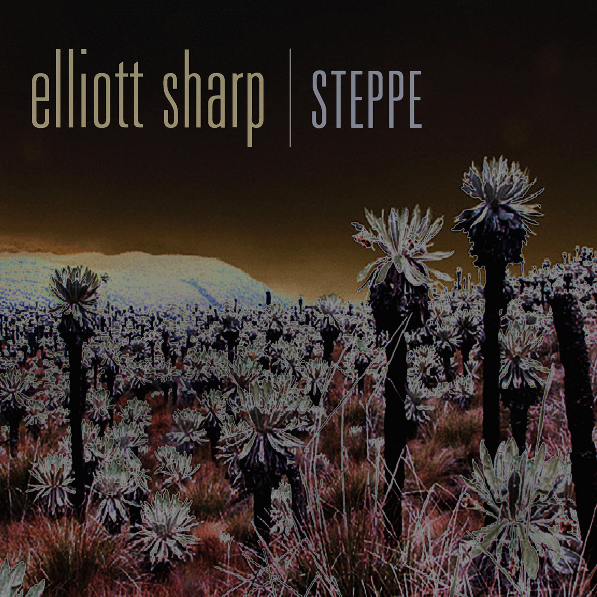 Steppe by Elliott Sharp (Album, EAI): Reviews, Ratings, Credits, Song ...
