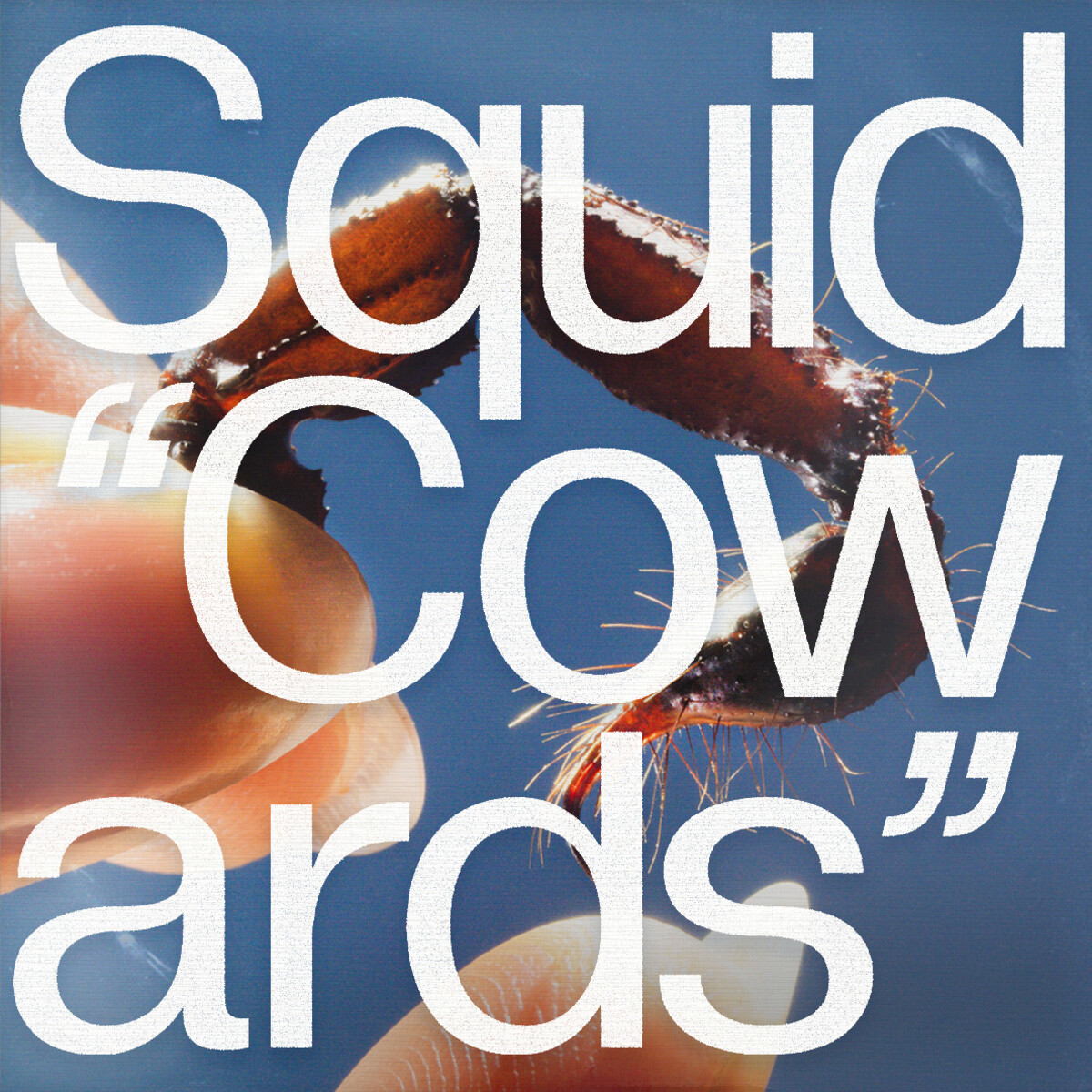 Cowards by Squid (Album, Post-Rock): Reviews, Ratings, Credits, Song ...