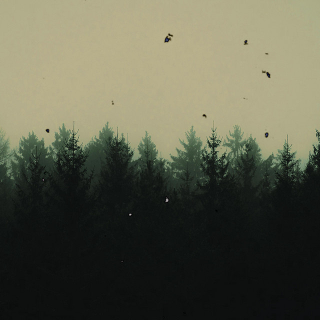 Habits by GRAHAM (Single): Reviews, Ratings, Credits, Song list - Rate ...