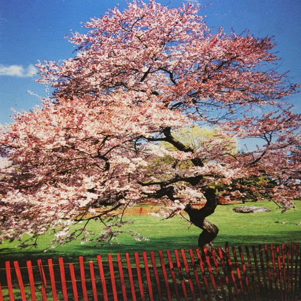 Mercy Street by A Reminiscent Drive (Album, Ambient): Reviews, Ratings ...