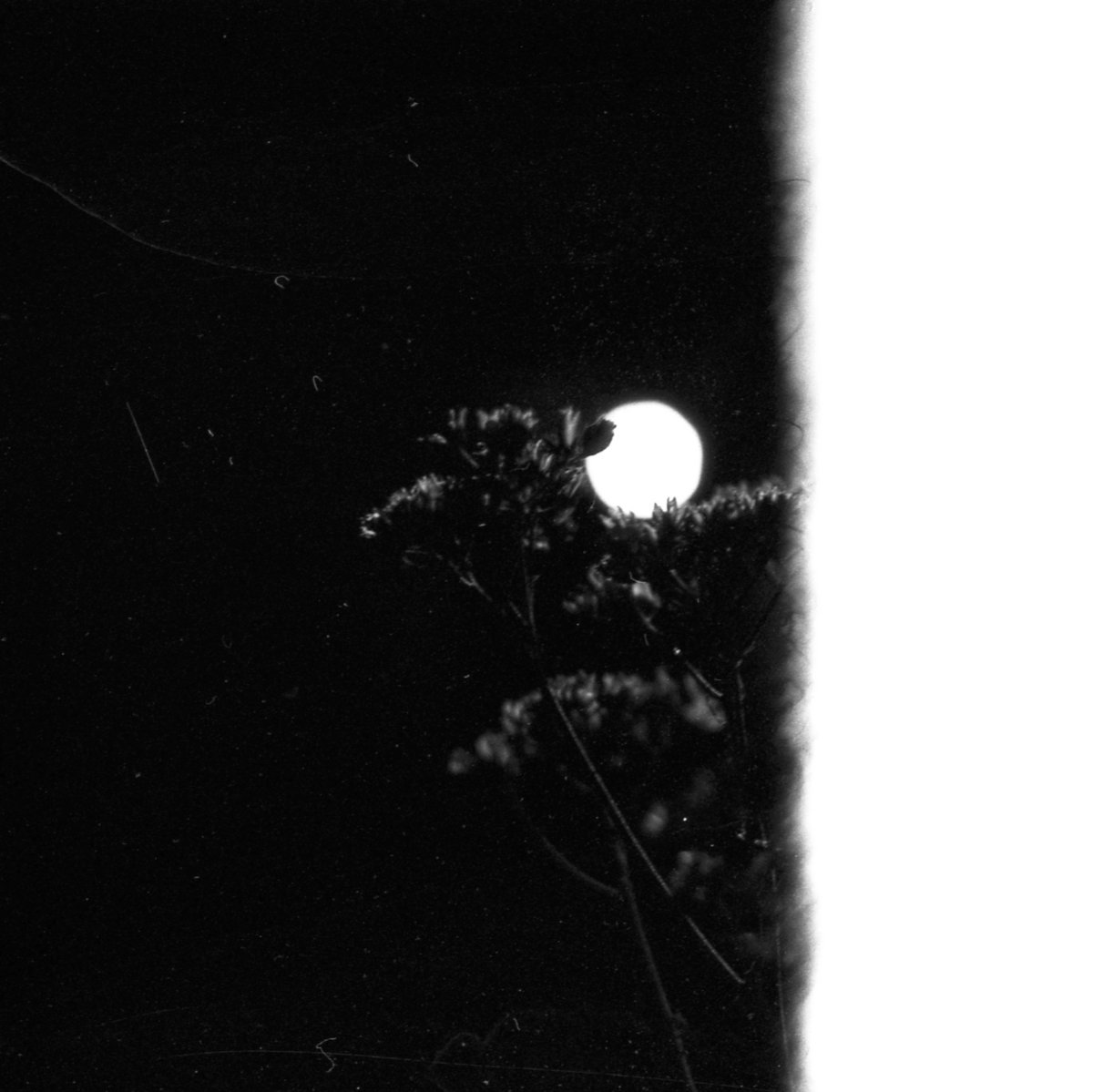 Seashine Albums: songs, discography, biography, and listening guide ...