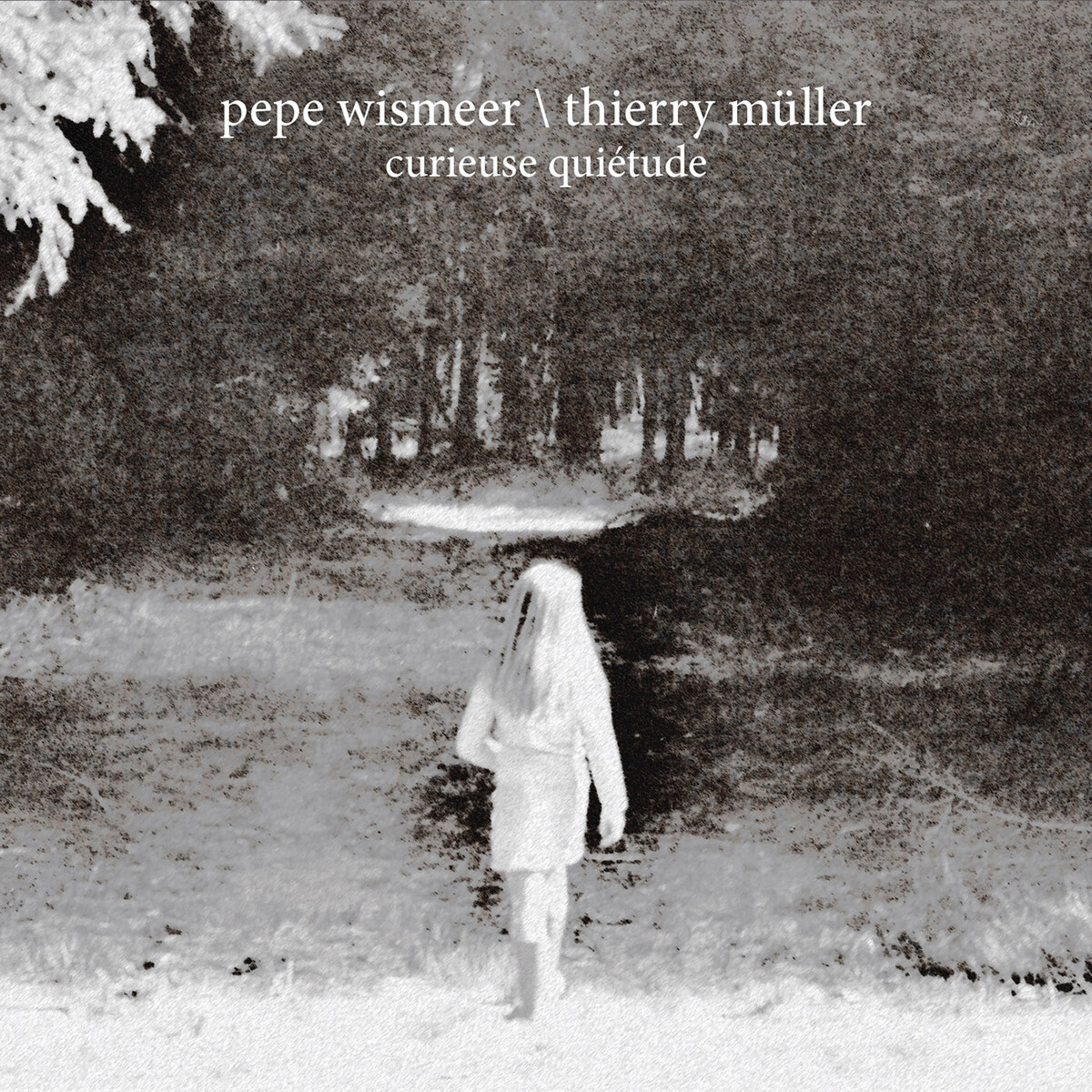Curieuse quiétude by Pepe Wismeer \ Thierry Müller (Album): Reviews ...