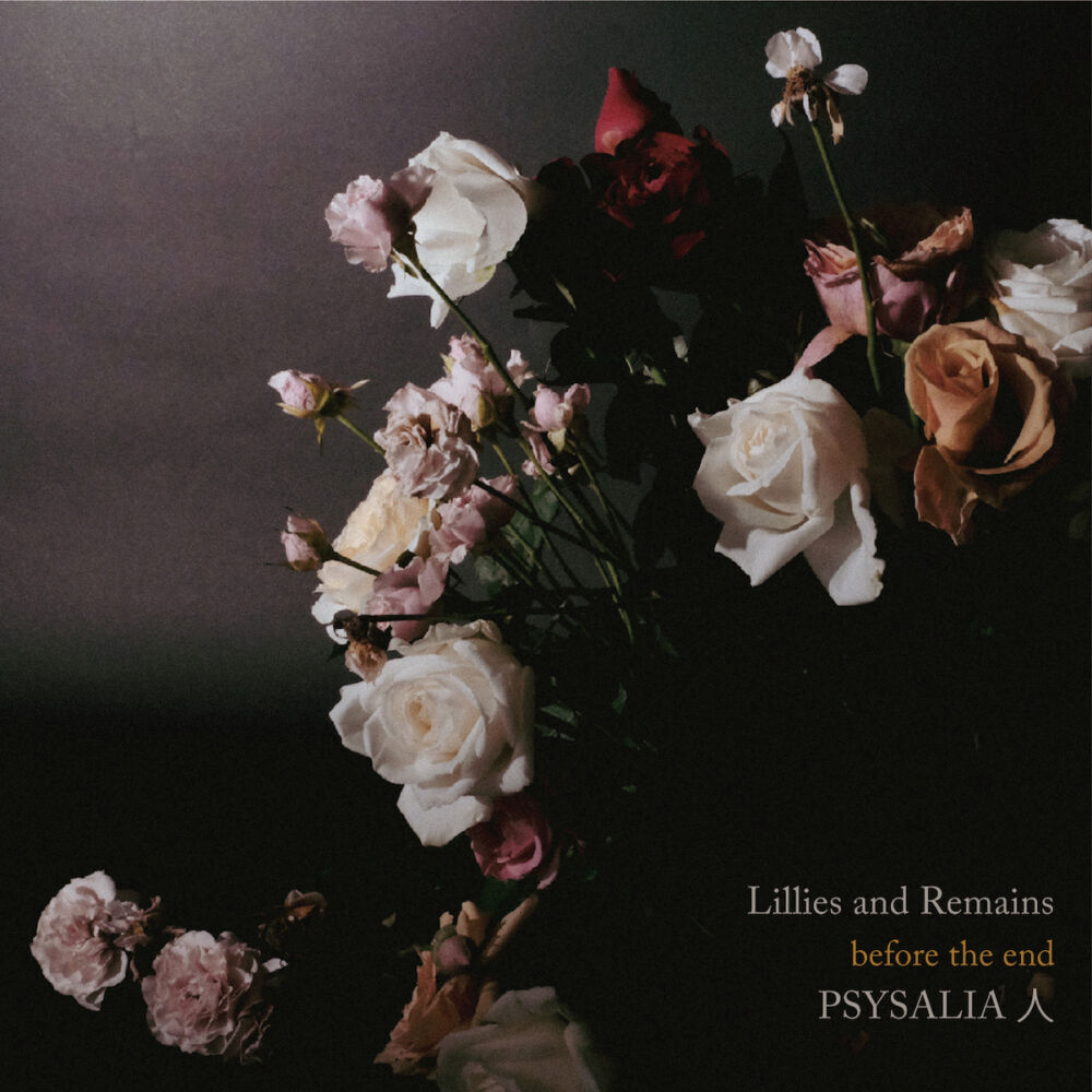 PSYSALIA 人 Albums: songs, discography, biography, and listening guide ...