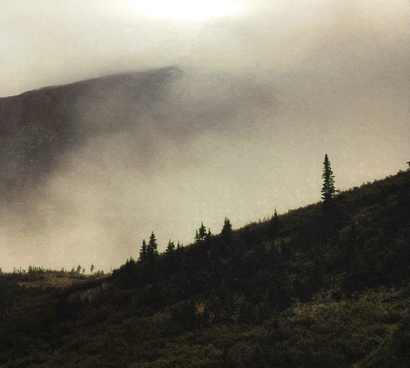 Lord Buffalo Albums: songs, discography, biography, and listening guide ...