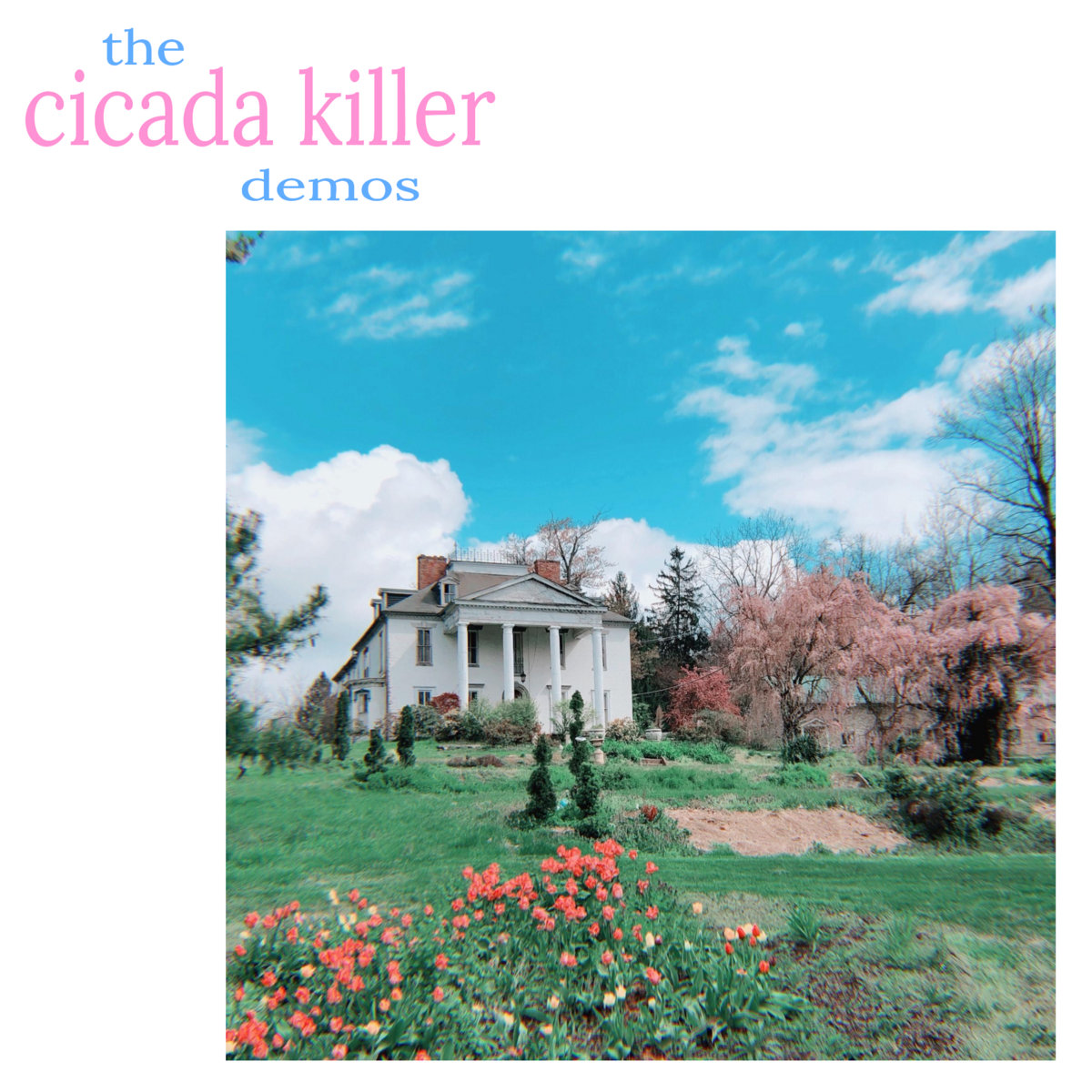 Cicada Killer Albums: songs, discography, biography, and listening ...