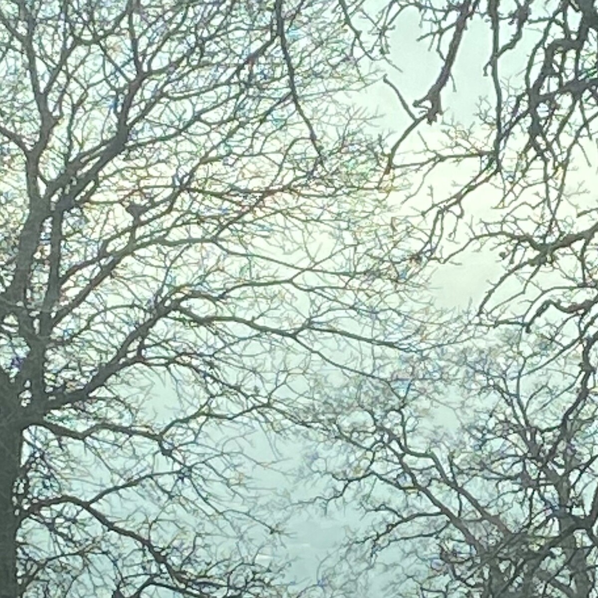 Frown by Hamilton (Single; n/a; n/a): Reviews, Ratings, Credits, Song ...