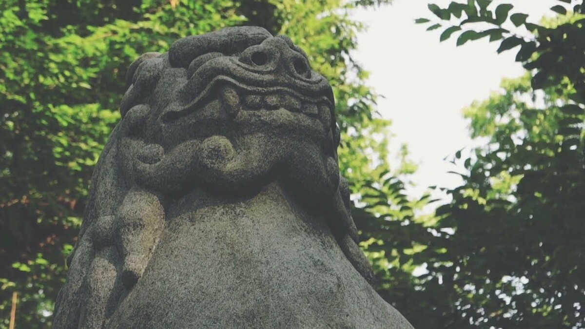 Slumbery by Genfukei (Music video): Reviews, Ratings, Credits, Song ...