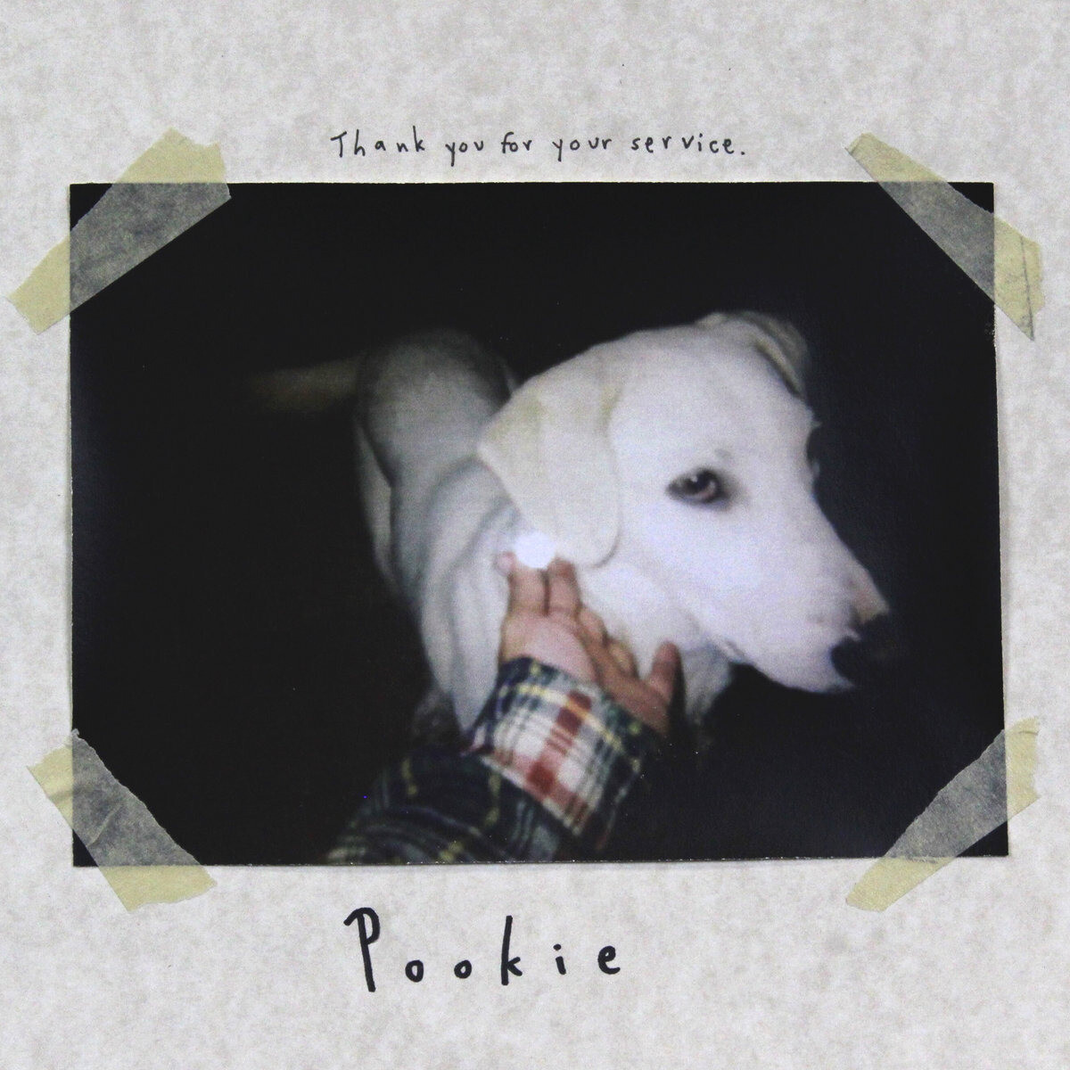Pookie Albums: songs, discography, biography, and listening guide ...