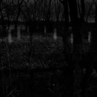 Saten Albums: songs, discography, biography, and listening guide - Rate ...