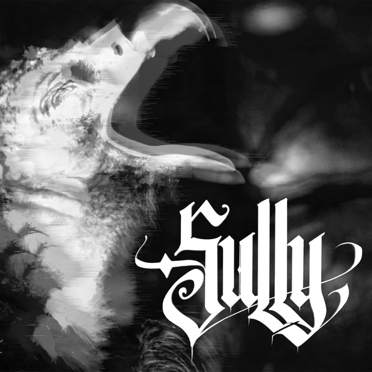 Sully by Sully (Album, Grindcore): Reviews, Ratings, Credits, Song list ...