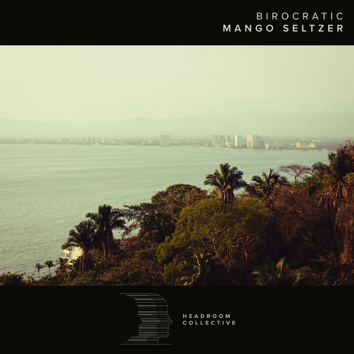Mango Seltzer by Birocratic (Single): Reviews, Ratings, Credits, Song ...