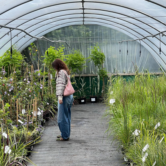 Fiola Albums: songs, discography, biography, and listening guide - Rate ...