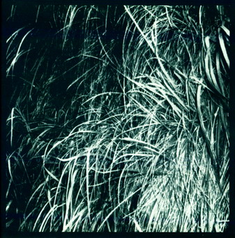 Second Skin Albums: songs, discography, biography, and listening guide ...