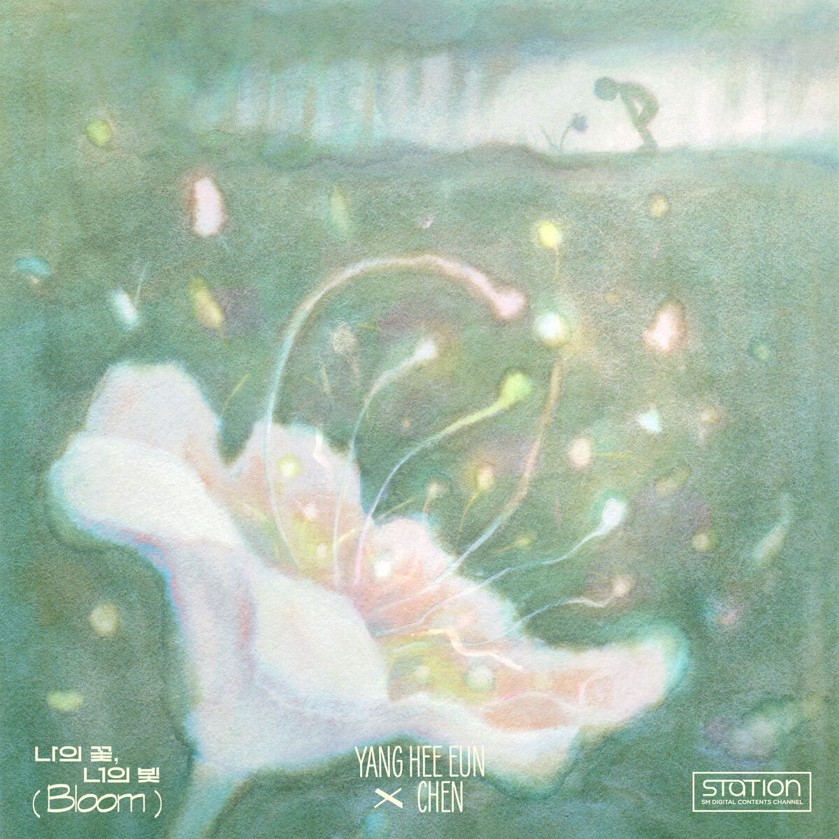 나의 꽃, 너의 빛 (Bloom) by 양희은 [Yang Hee-Eun] & 첸 [Chen] (Single, Adult Contemporary): Reviews ...