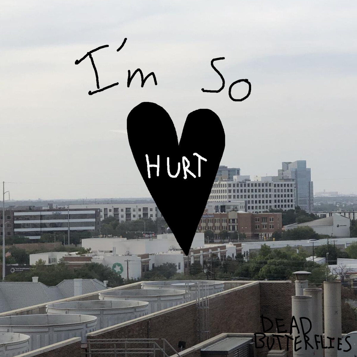 I'm So Hurt by Dead Butterflies (Single): Reviews, Ratings, Credits ...