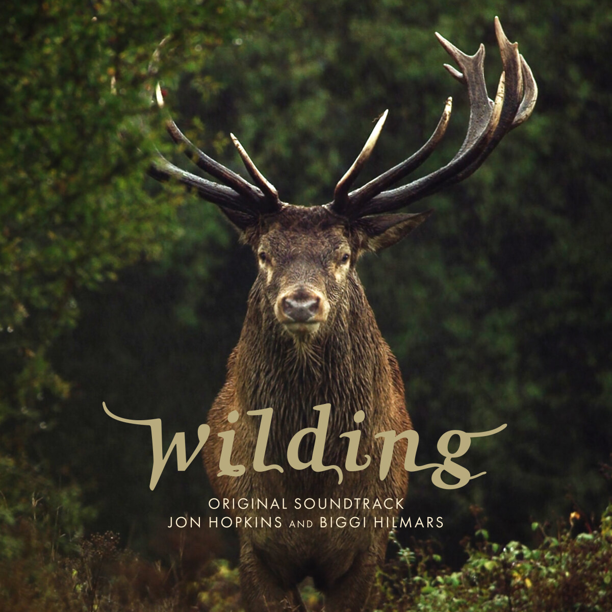 Wilding by Jon Hopkins & Biggi Hilmars (Album, Ambient): Reviews ...
