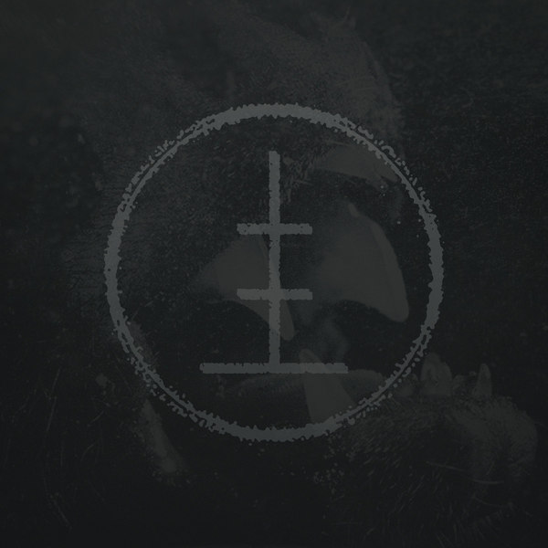 Traitor Albums: songs, discography, biography, and listening guide ...