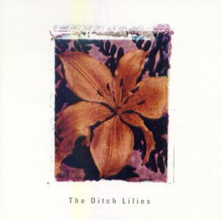 The Ditch Lilies Albums: songs, discography, biography, and listening ...