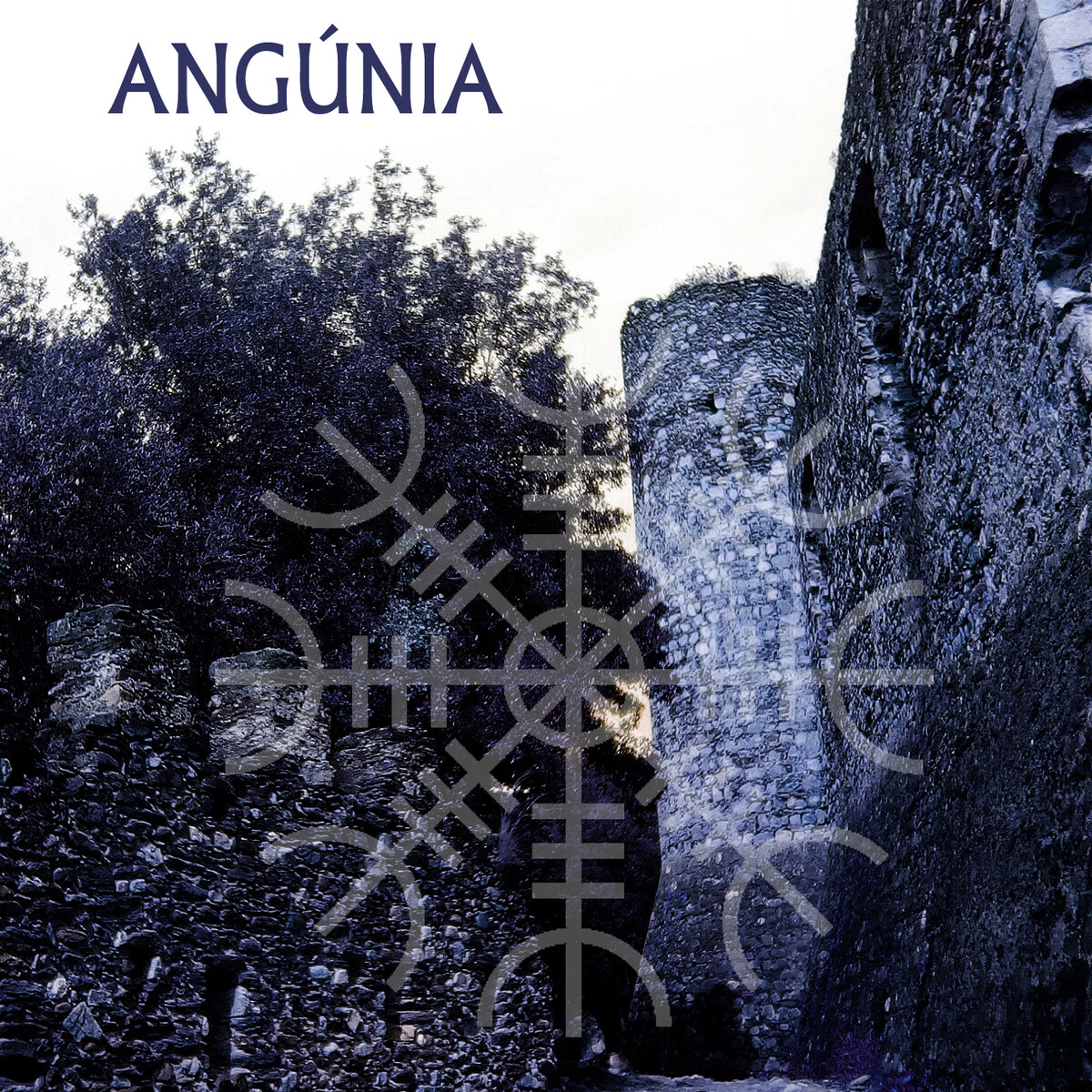 Esverant l'aviram by Angúnia (Album): Reviews, Ratings, Credits, Song ...
