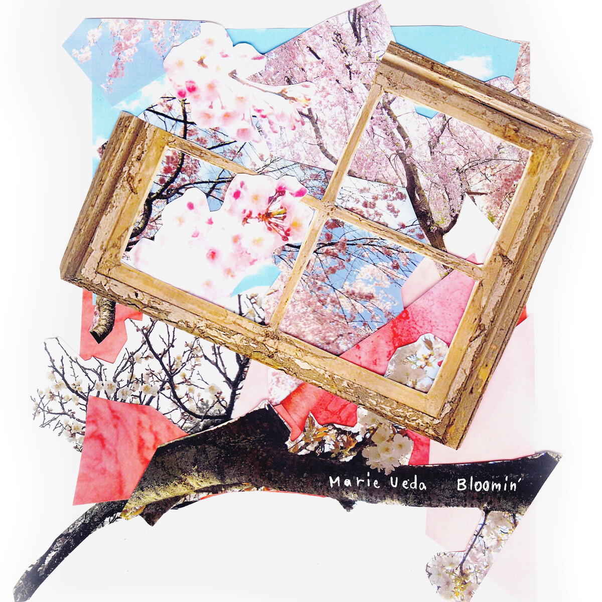 Bloomin' by 植田真梨恵 [Marie Ueda] (Single): Reviews, Ratings, Credits ...