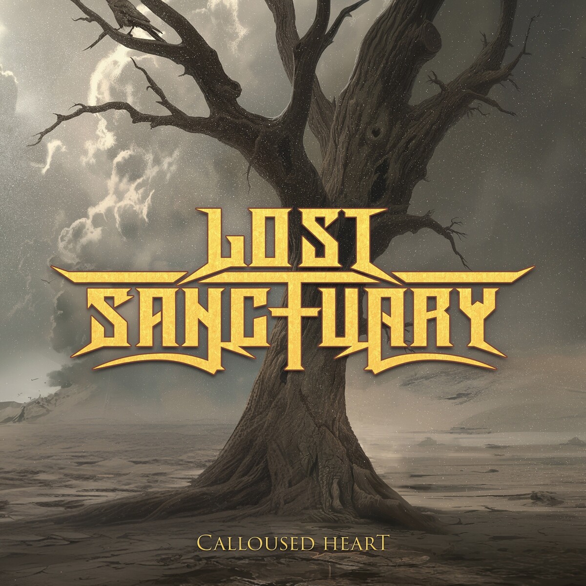 Calloused Heart by Lost Sanctuary (Single): Reviews, Ratings, Credits ...