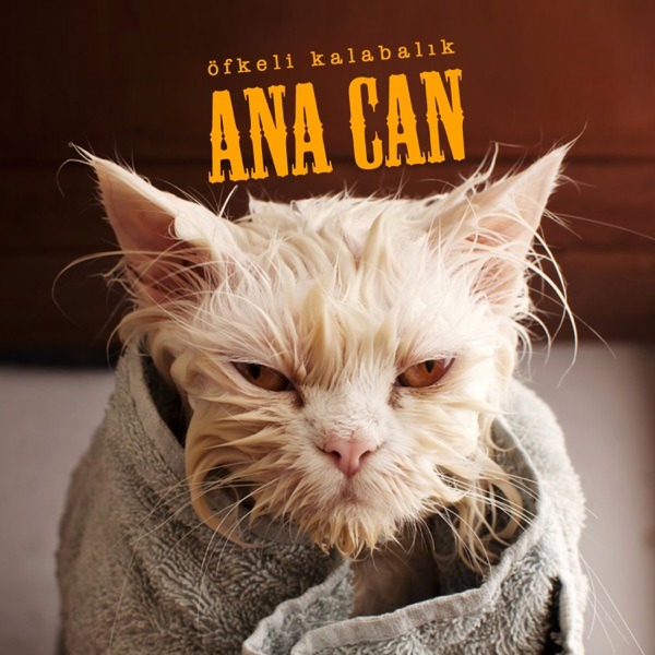 Ana Can by Öfkeli Kalabalık (Album): Reviews, Ratings, Credits, Song ...