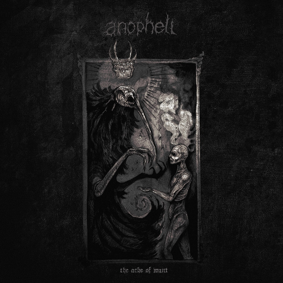 Anopheli Albums: songs, discography, biography, and listening guide ...
