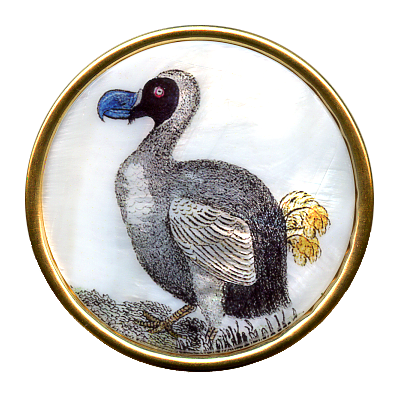 Snoop Diddily Albums: songs, discography, biography, and listening ...