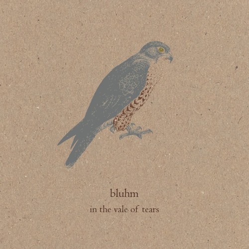 Bluhm Albums: songs, discography, biography, and listening guide - Rate ...