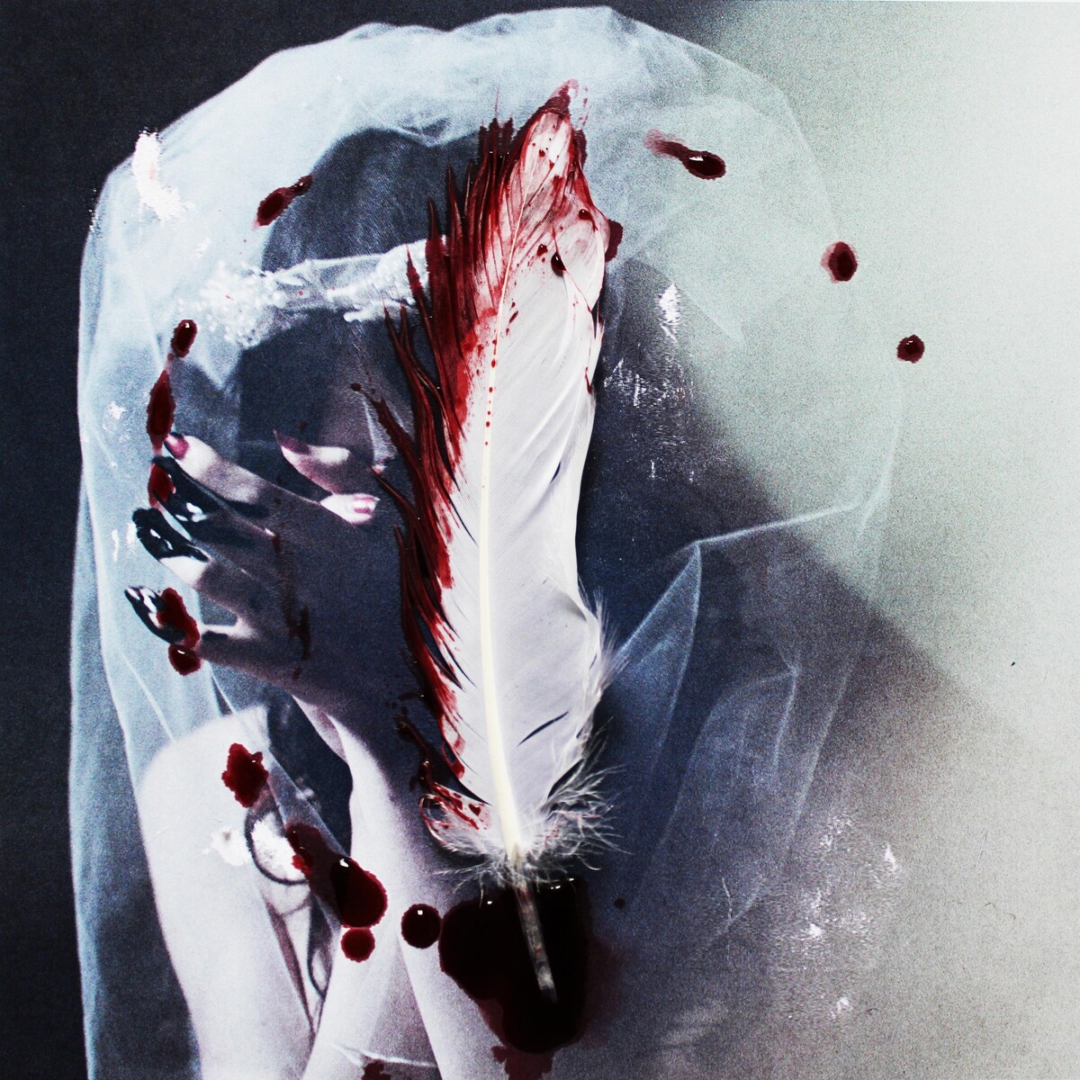 Comet Albums: songs, discography, biography, and listening guide - Rate ...