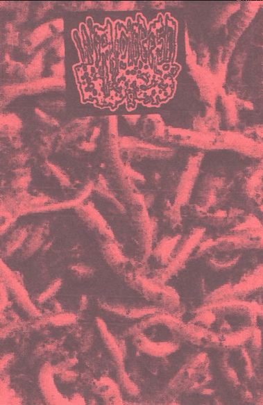 Demo by Wormclogged Blisters (Additional release; Running Through the ...