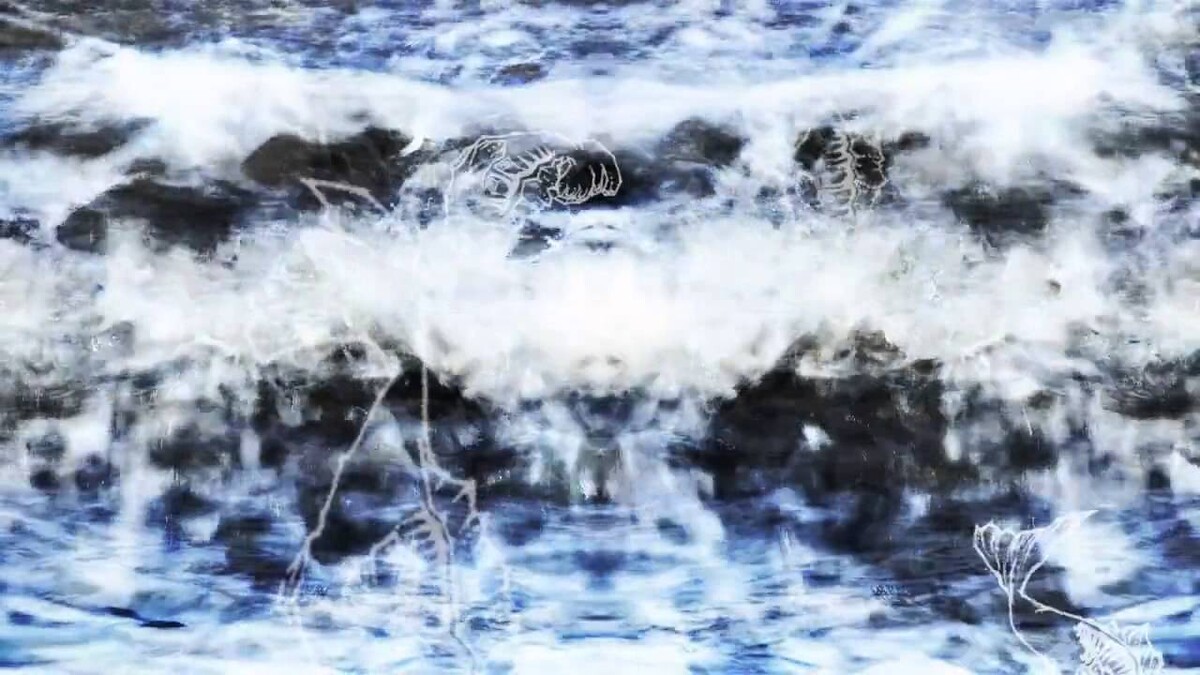 Me Fish Bring by William D. Drake (Music video): Reviews, Ratings ...