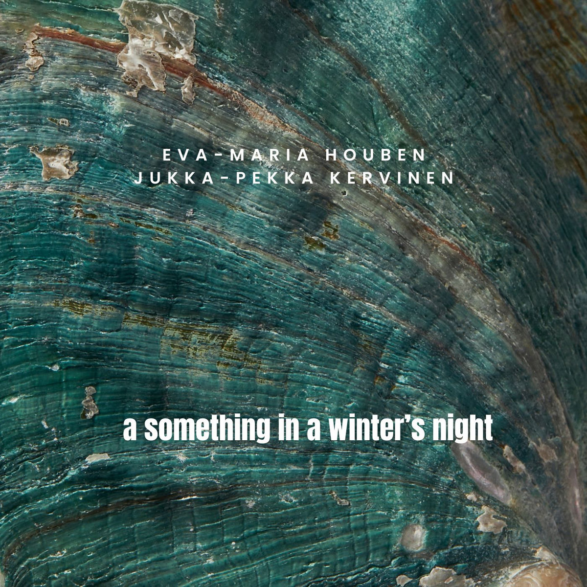 a something in a winter's night by Eva-Maria Houben & Jukka-Pekka ...