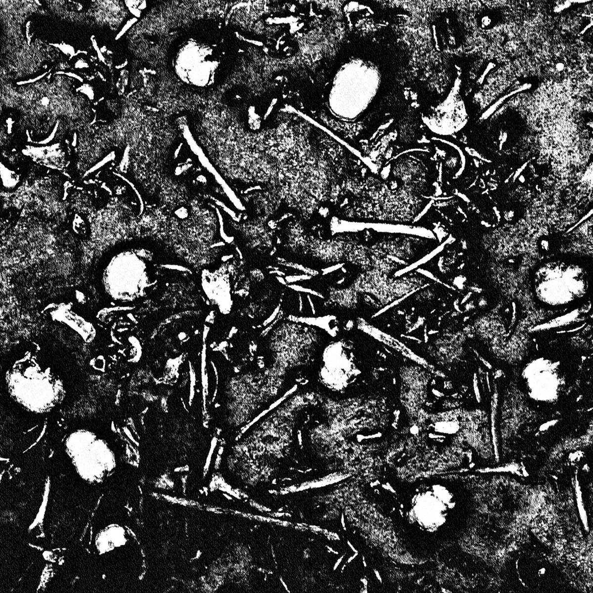 Ghostly Echoes From the Troubled Past by Dosis Letalis (Album, Ambient Noise Wall): Reviews ...