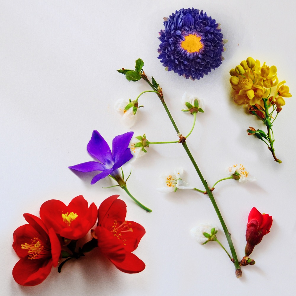 Scary by Chris James (Single): Reviews, Ratings, Credits, Song list ...