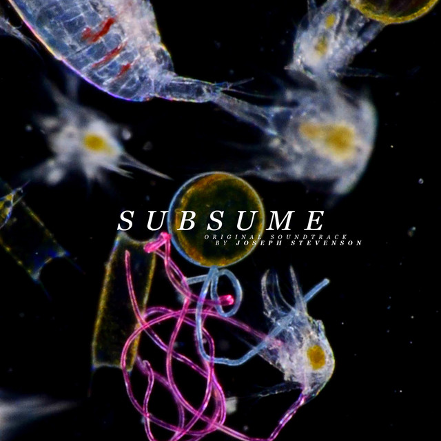 Subsume (Original Soundtrack) by Joseph Stevenson (EP): Reviews ...