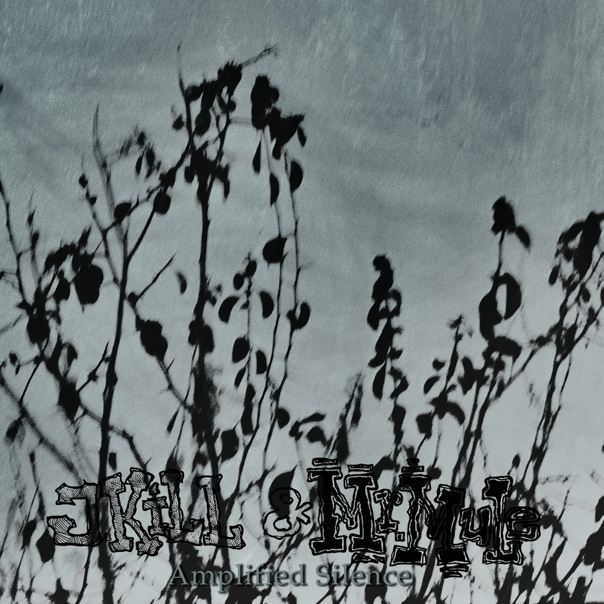 Amplified Silence by J. Kill & Mr. Mule (Album): Reviews, Ratings ...