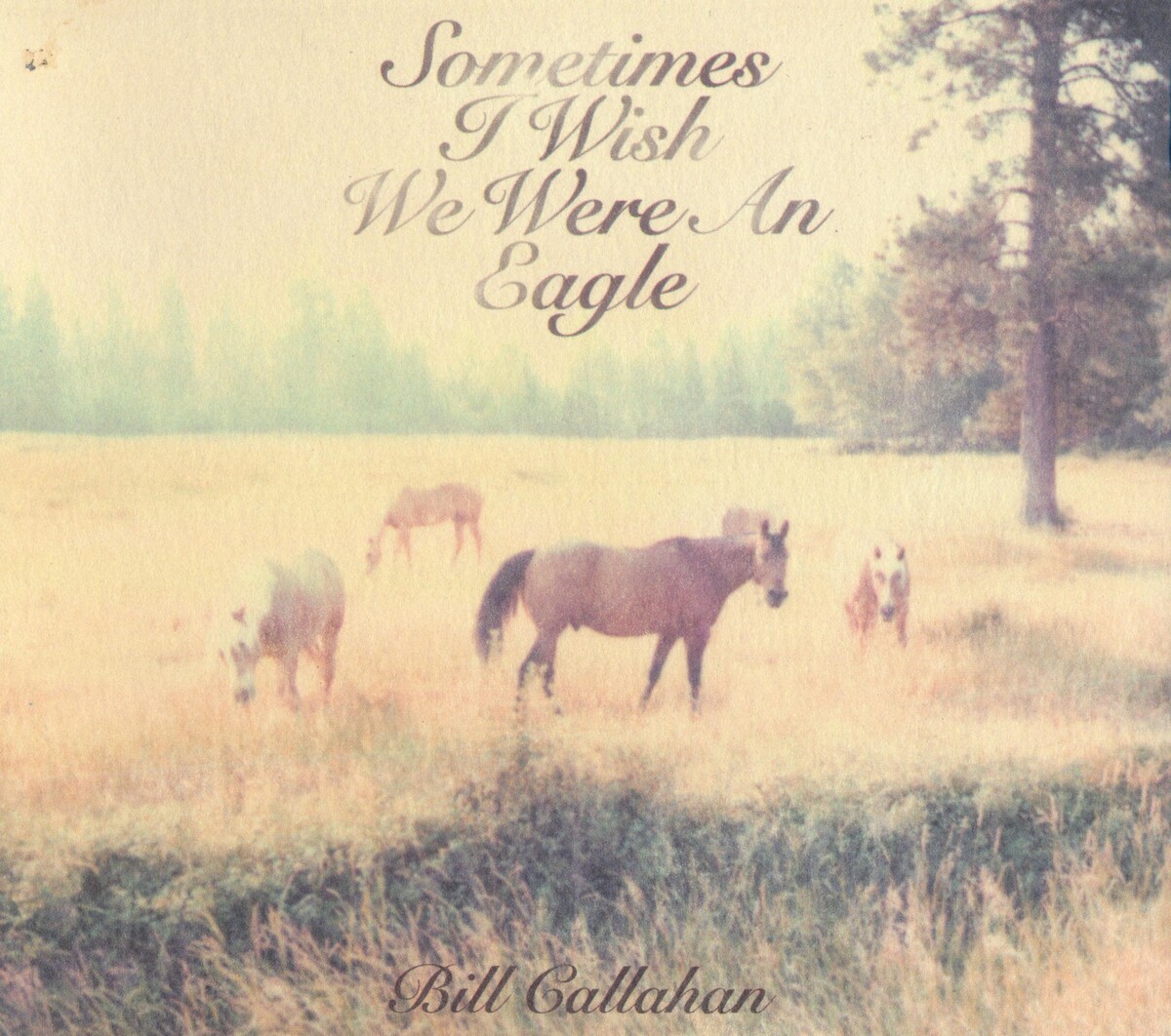 Bill Callahan Albums: songs, discography, biography, and listening ...