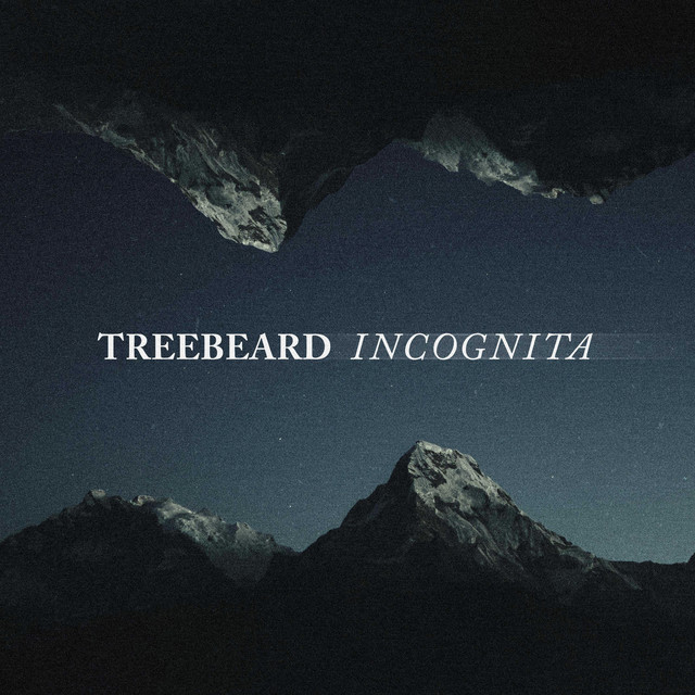 Incognita by Treebeard (Single; Bird's Robe): Reviews, Ratings, Credits ...