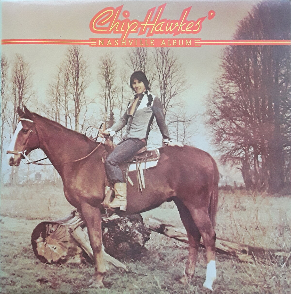 Nashville Album by Chip Hawkes (Album): Reviews, Ratings, Credits, Song ...